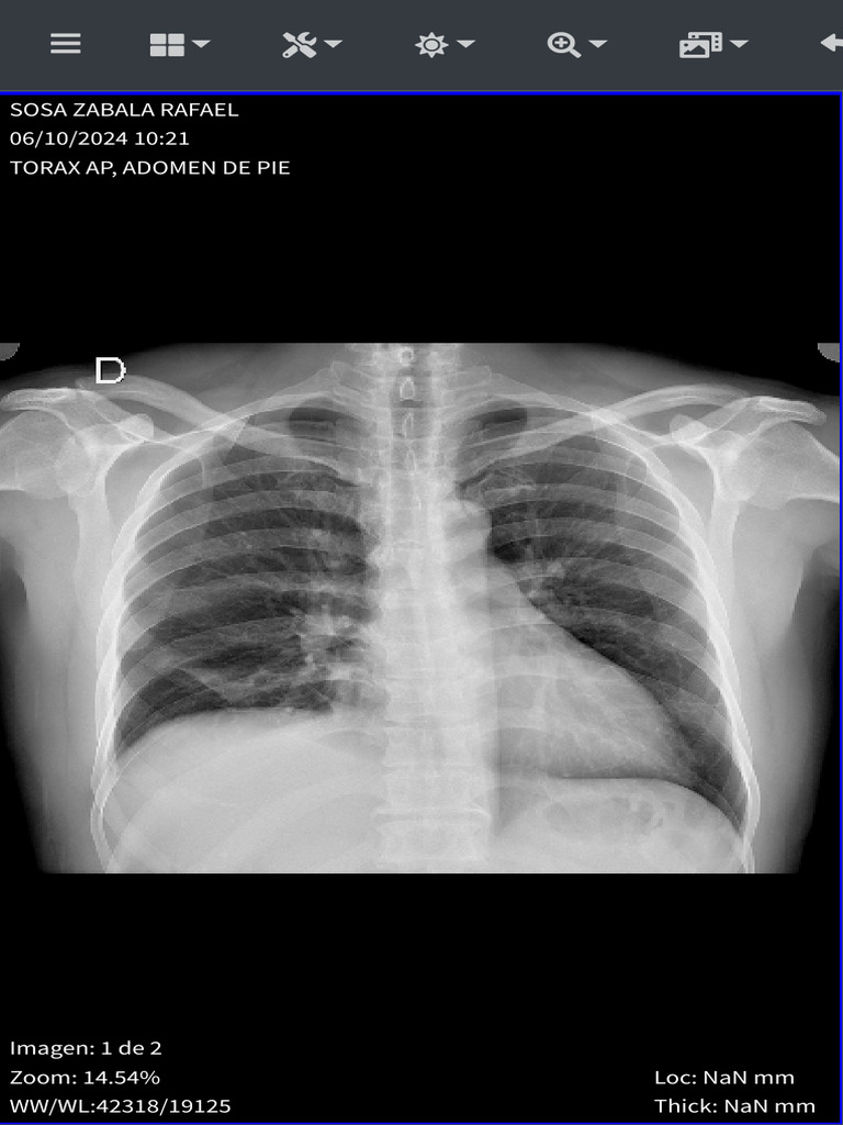 Pentalogic DICOM Viewer | PDF