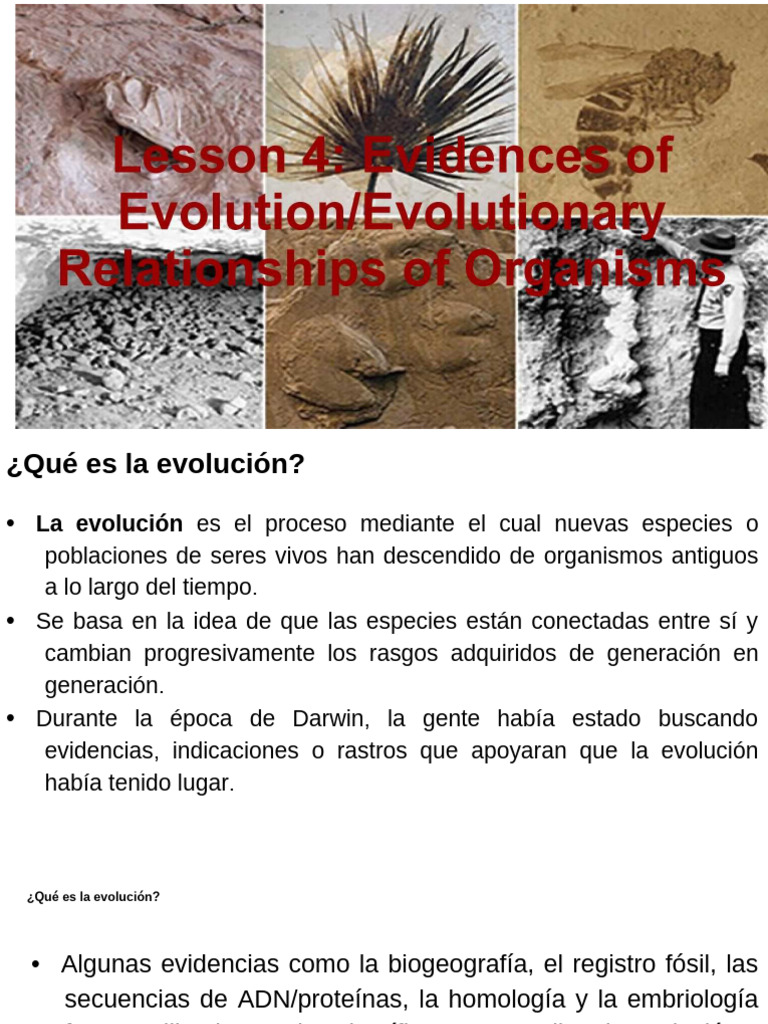 Evidencias de la Evolución Biológica | PDF | Evolución | Homología ...