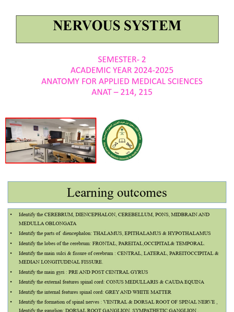 Practical 01 Anatomy of The Nervous System, ANTM 214, 215, Semester ...