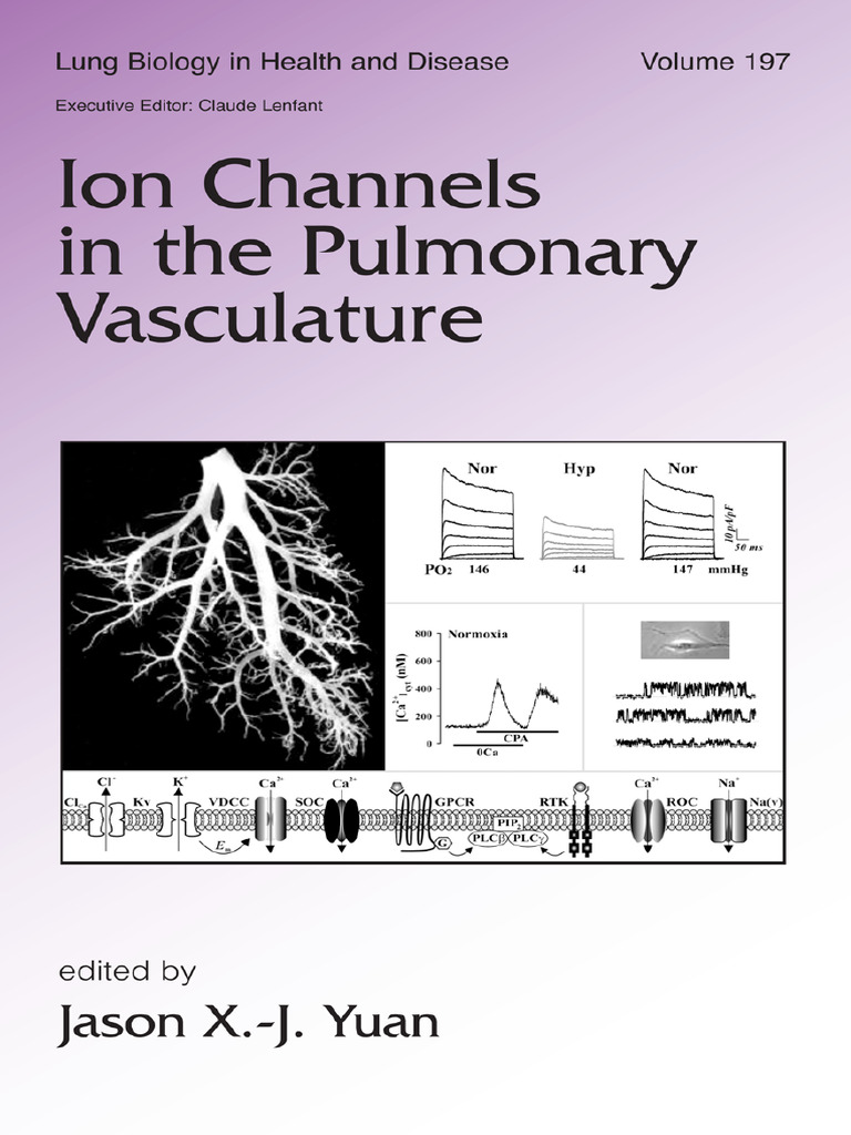 Pulmonary Vascular Ion Channels | PDF | Respiratory Diseases | Lung