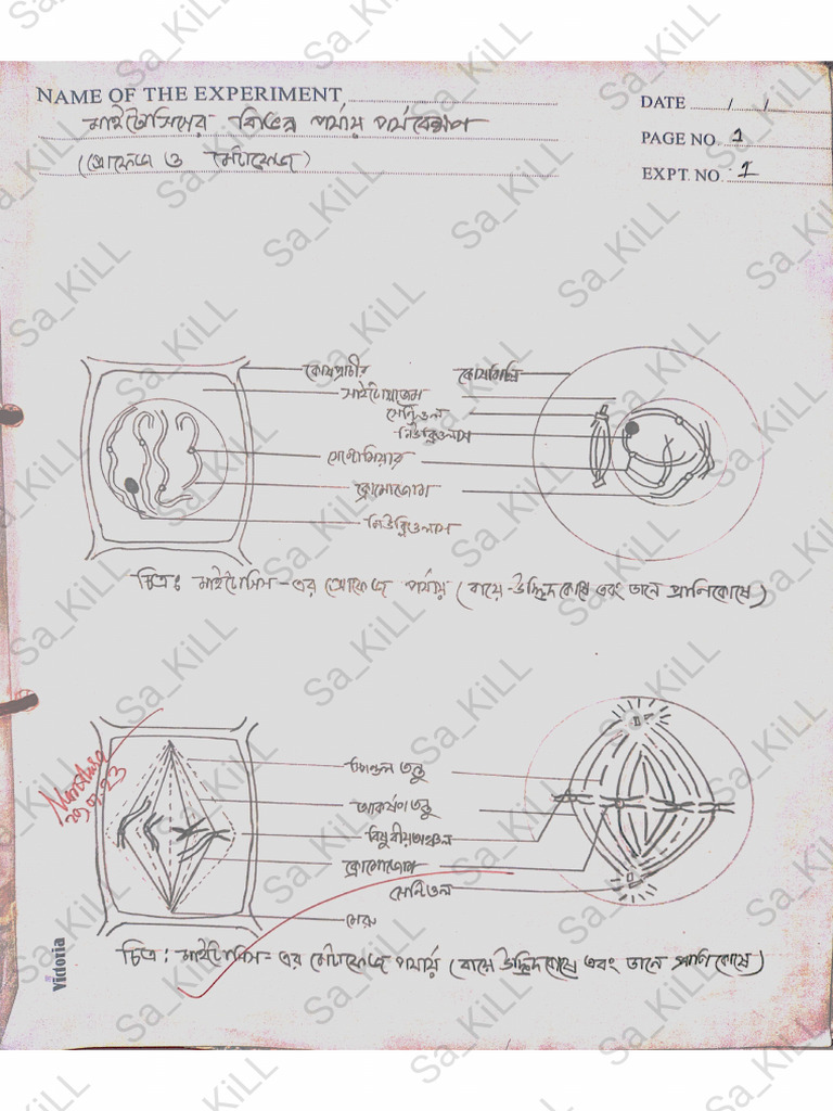 Biology 1st Paper Practical (Sa - KiLL) | PDF