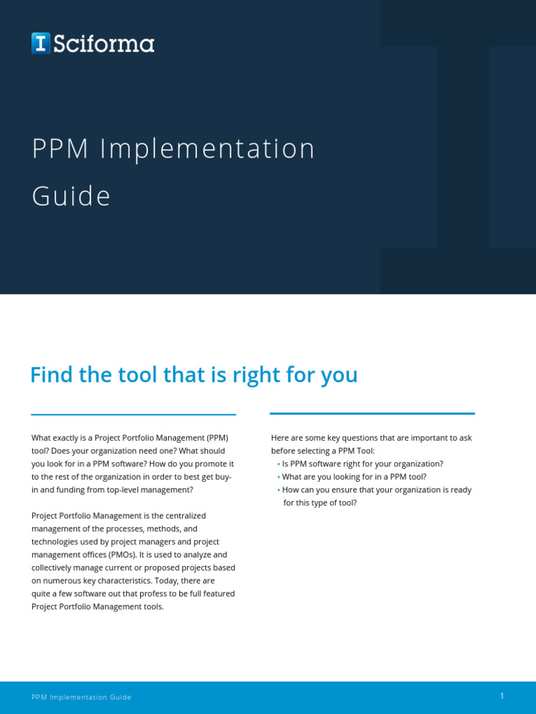 PPM Implementation Guide by PPM Expert Brad Egeland | PDF | Project Management | Investment ...
