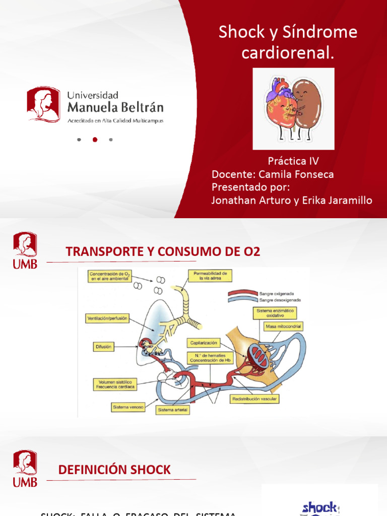 Shock y Síndrome Cardiorrenal: Guía Completa | PDF | Choque ...