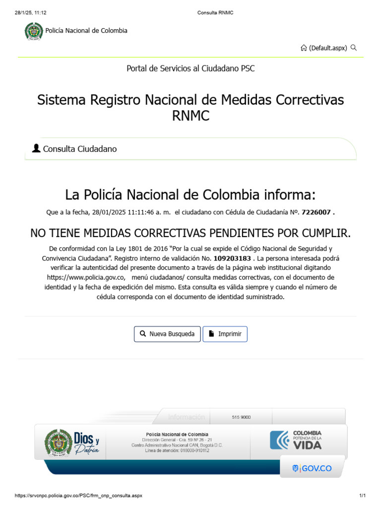 Consulta RNMC Beyer | PDF