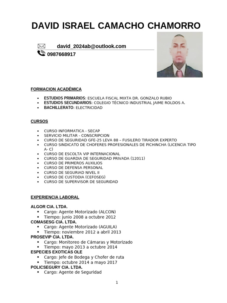 CV DAVID C | PDF