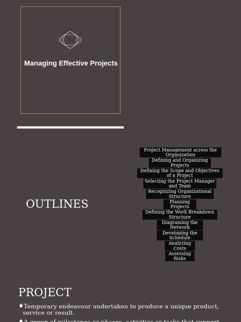 Effective Project Management Guide | PDF | Project Management | Business