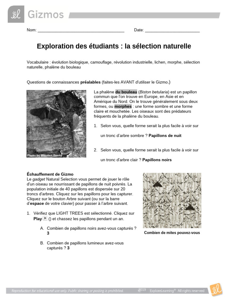 Sélection naturelle des papillons de nuit | PDF | Zoologie | Biologie