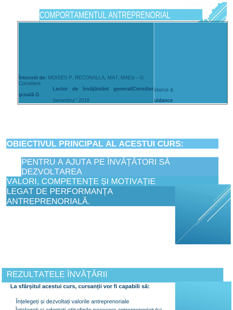 Comportament Antreprenorial | PDF