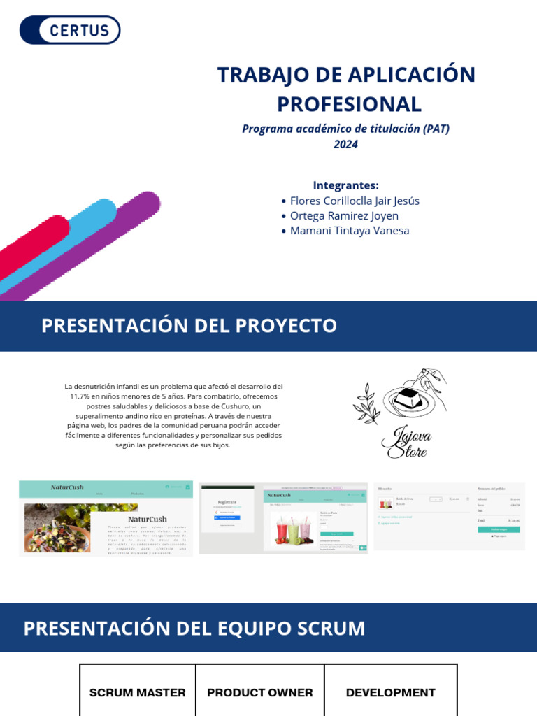 Presentación Del Proyecto | PDF | Scrum (desarrollo de software)