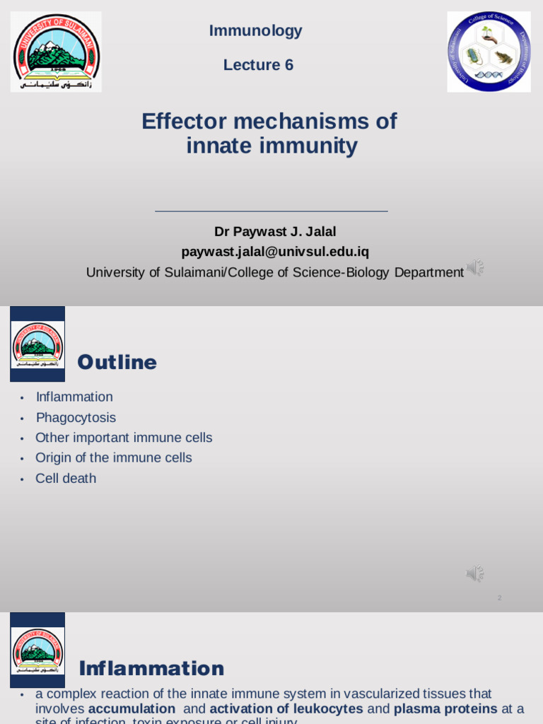Lecture 6-Effector Mechanisms of Innate Immunity | PDF | Inflammation | Phagocyte