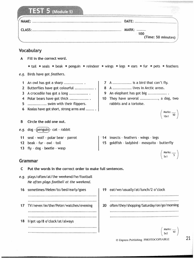 Access 1 Module 5 Pdf