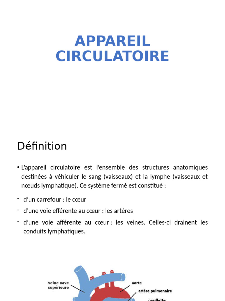 Définition de l'appareil circulatoire | PDF
