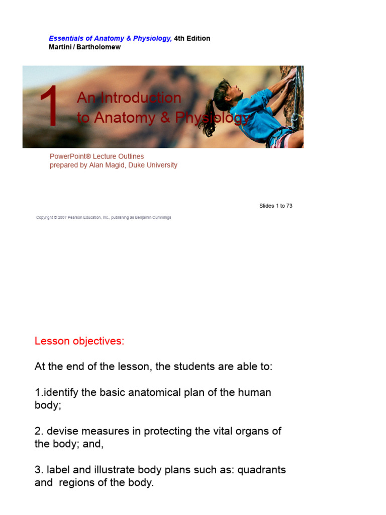 01 Introduction 2 | PDF | Anatomical Terms Of Location | Homeostasis