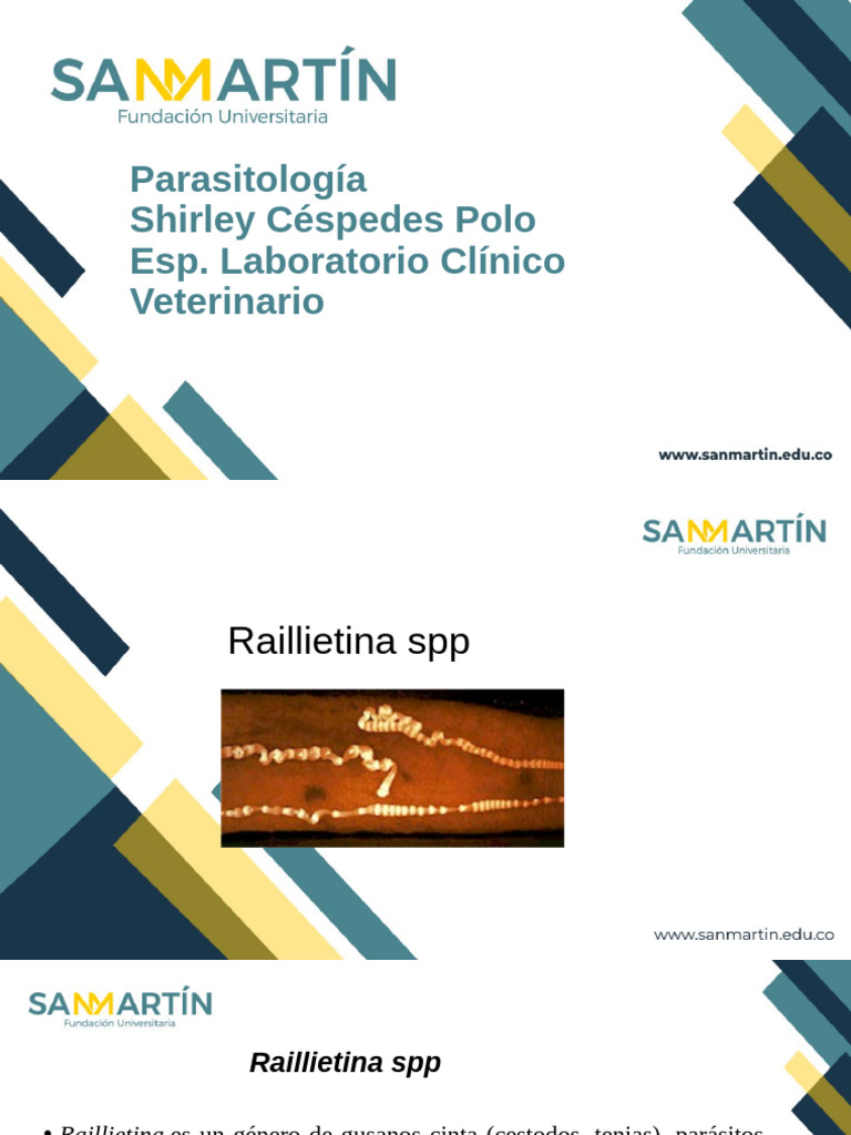 Raillietina SPP | PDF | Biología