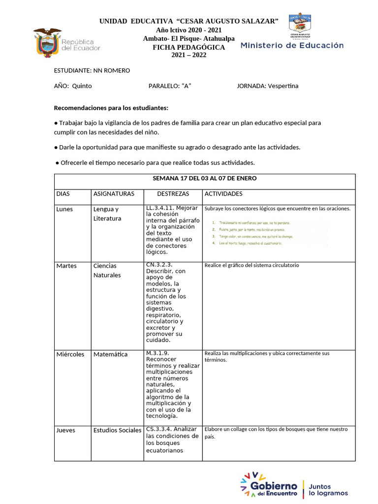 SEMANA 17 JASMIN | PDF