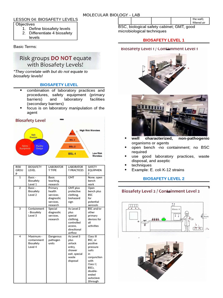4 - Biosafety Levels | PDF | Safety | Medical Specialties