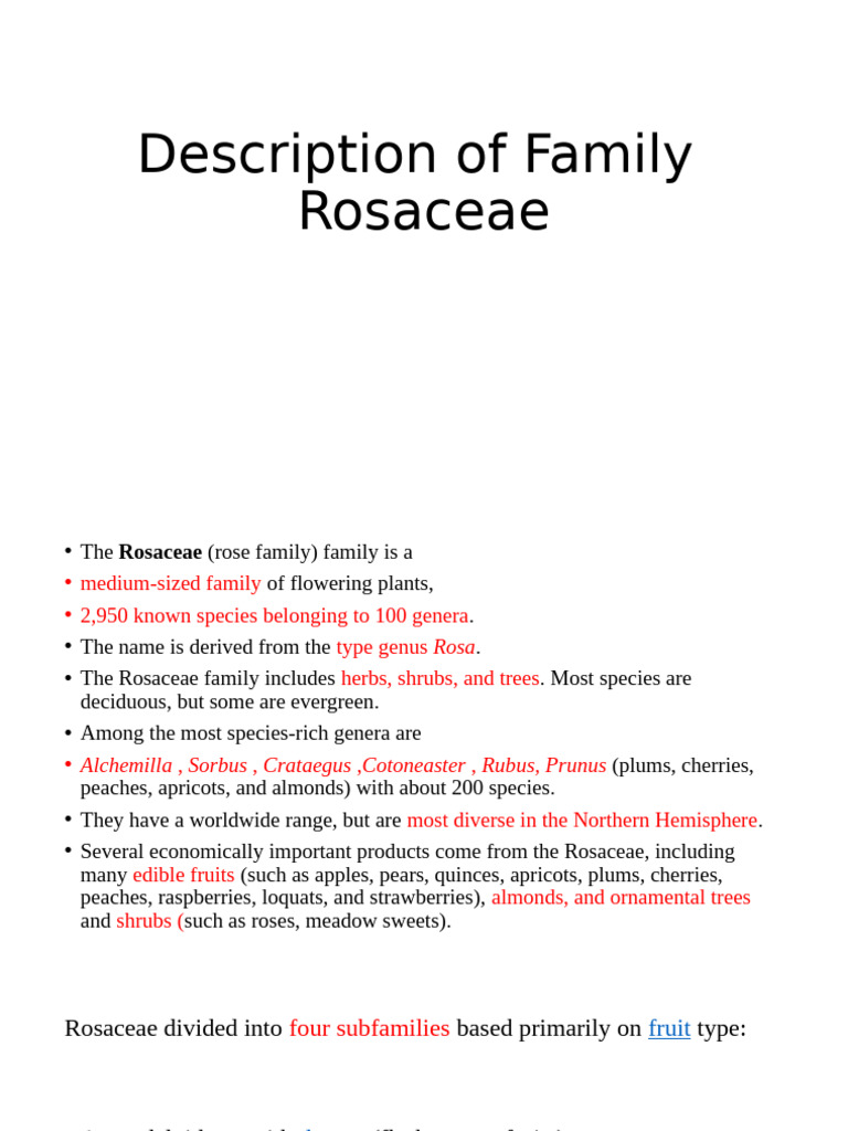 Rosaceae | PDF | Edible Fruits | Plant Morphology