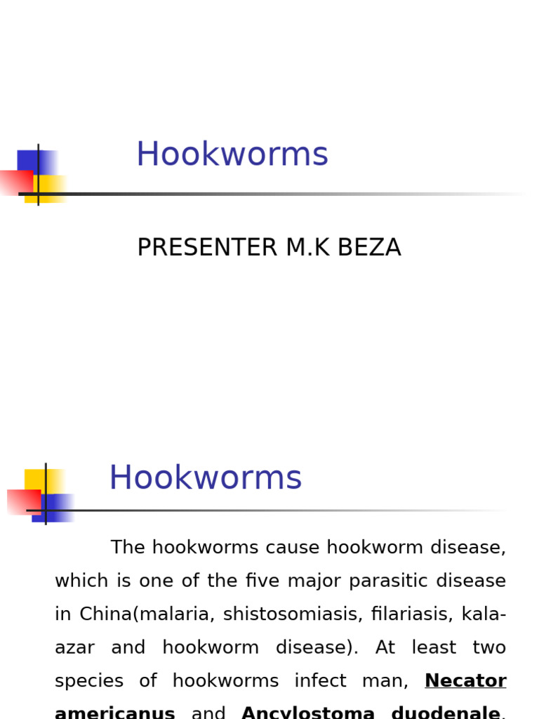 Hookworm | PDF | Clinical Medicine | Diseases And Disorders