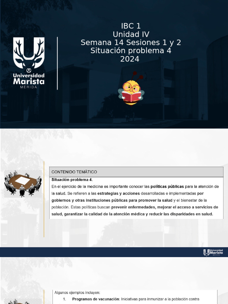IBC 1 Semana 14 Sesiones 1 y 2 SP4 | PDF