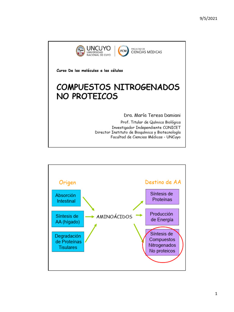 COMP NITRO NO PROT 2021 2x | PDF | Serotonina | Norepinefrina