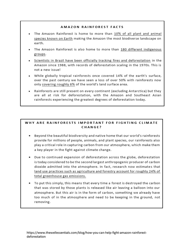 Debate Info - Handout | PDF | Deforestation | Amazon Rainforest