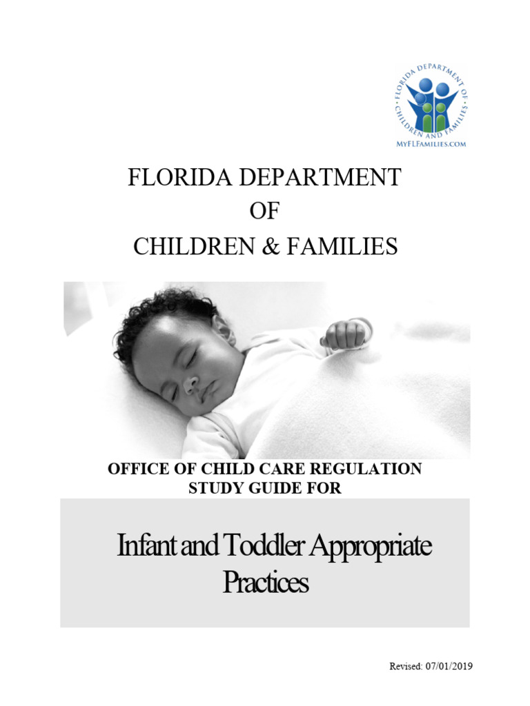 Infant and Toddler Care Practices Guide | PDF | Infants | Behavioural ...