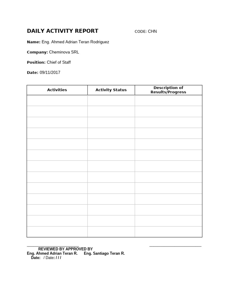Daily Activities Report | PDF