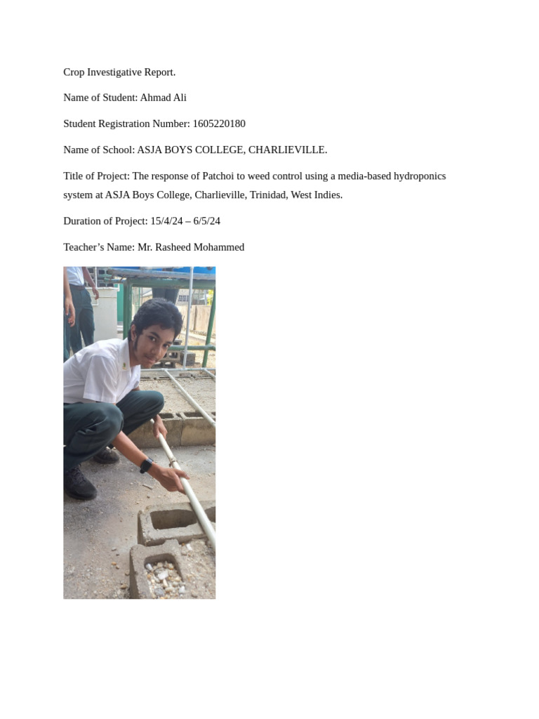 Ahmad Ali 5B Crop SBA Final | PDF | Weed | Agriculture
