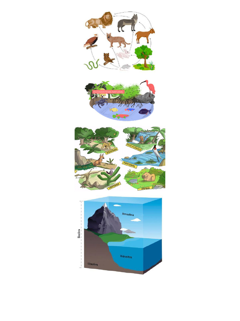 Design sem nome_20240906_132219_0000 | PDF