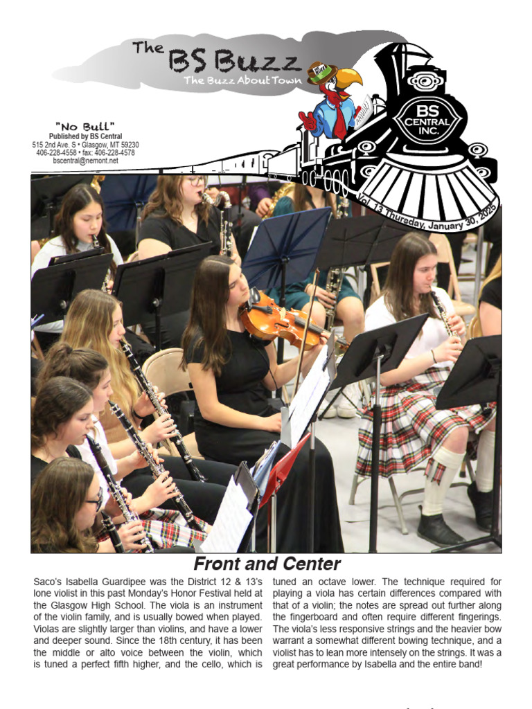 BS Buzz | PDF | Viola | Violin