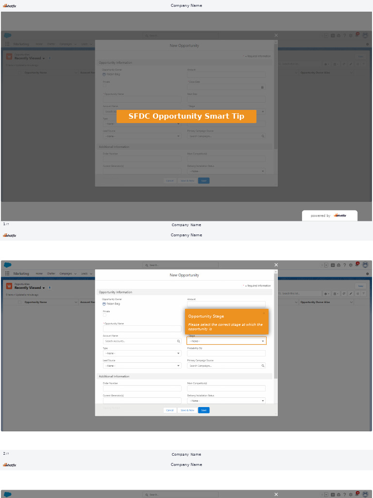 SFDC Opportunity Management Guide | PDF