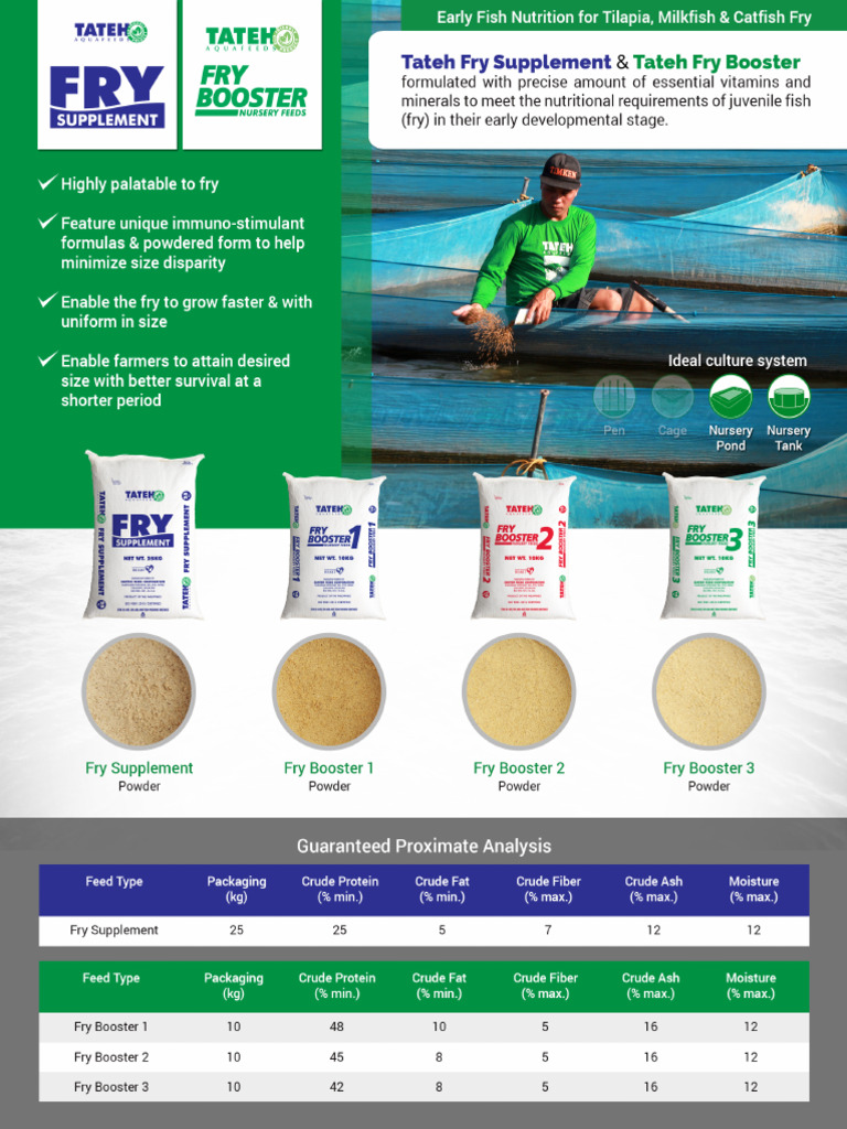 Tateh Fry Supplement | PDF