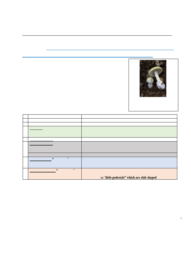 Annotated-Lab7A-Fungi 8March23 for Students | PDF | Fungus | Spore