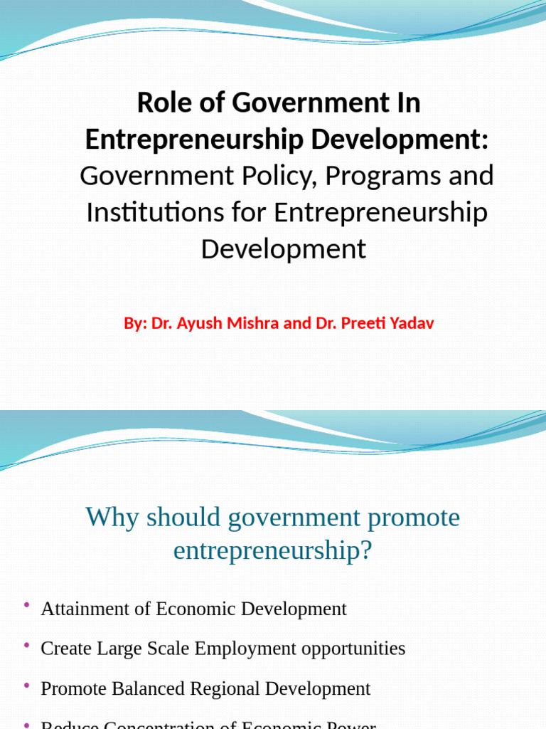 Government's Role in Entrepreneurial Growth | PDF | Entrepreneurship ...