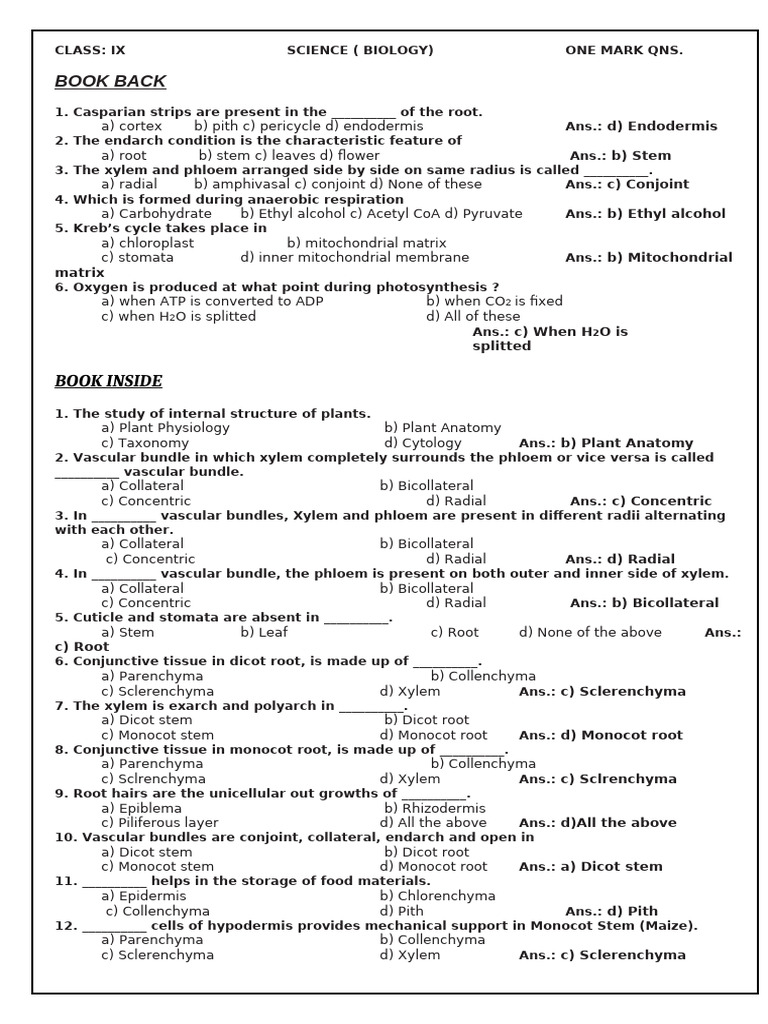 Class Ix One Marks Qns. | PDF | Plant Stem | Leaf