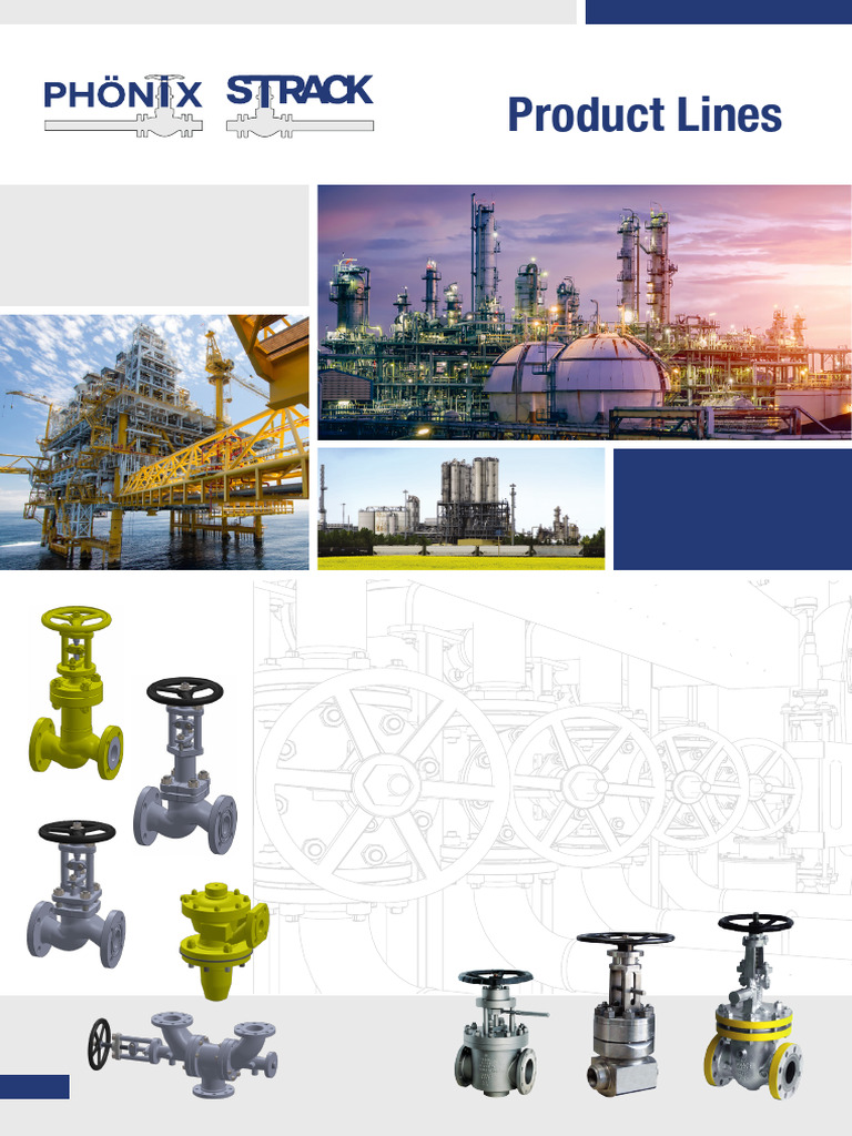 2023-09-01_PHOENIX-STRACK_brochure | PDF | Valve | Stainless Steel