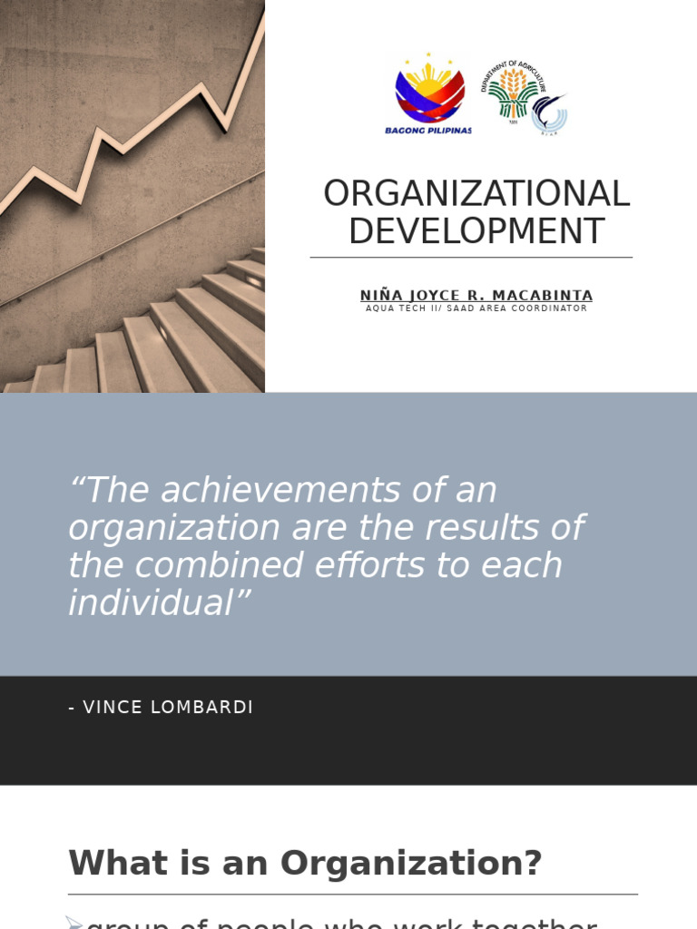 Organizational Development Guide | PDF