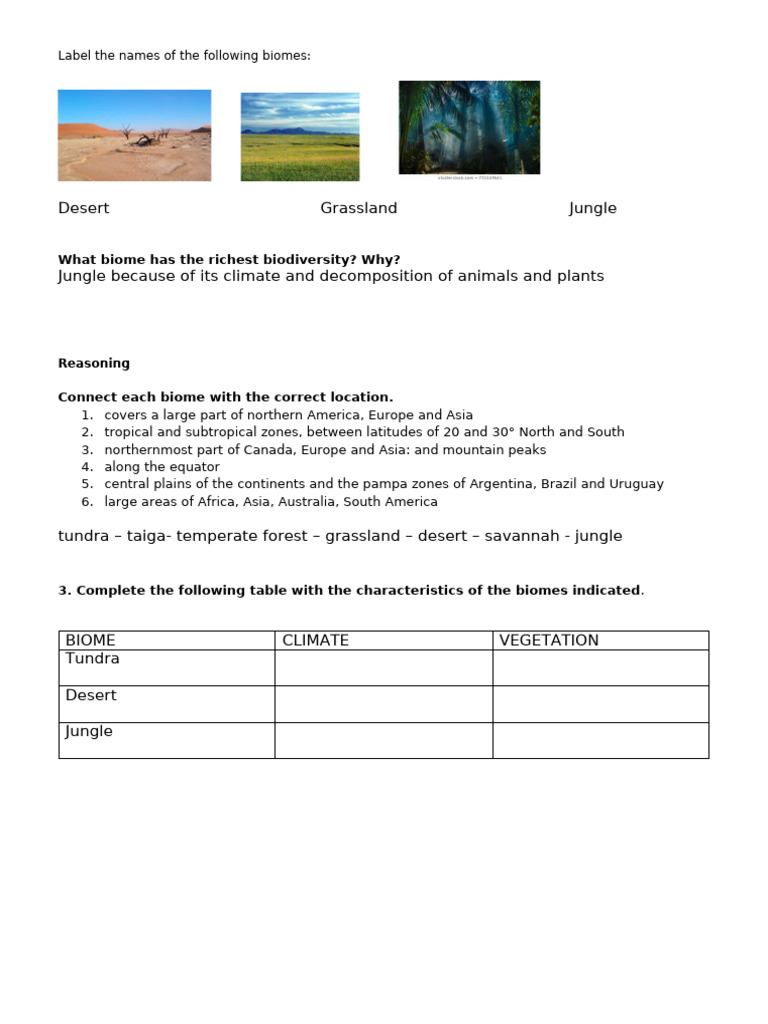 9th Grade Classwork June 16 | PDF