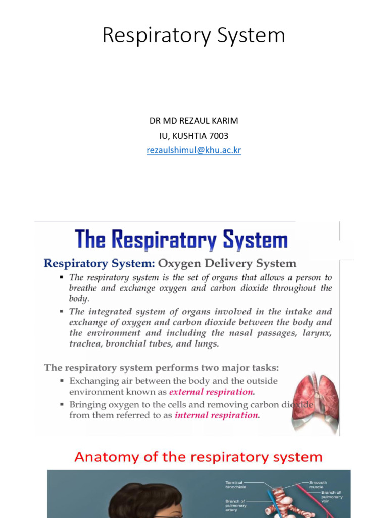 Res_system | PDF