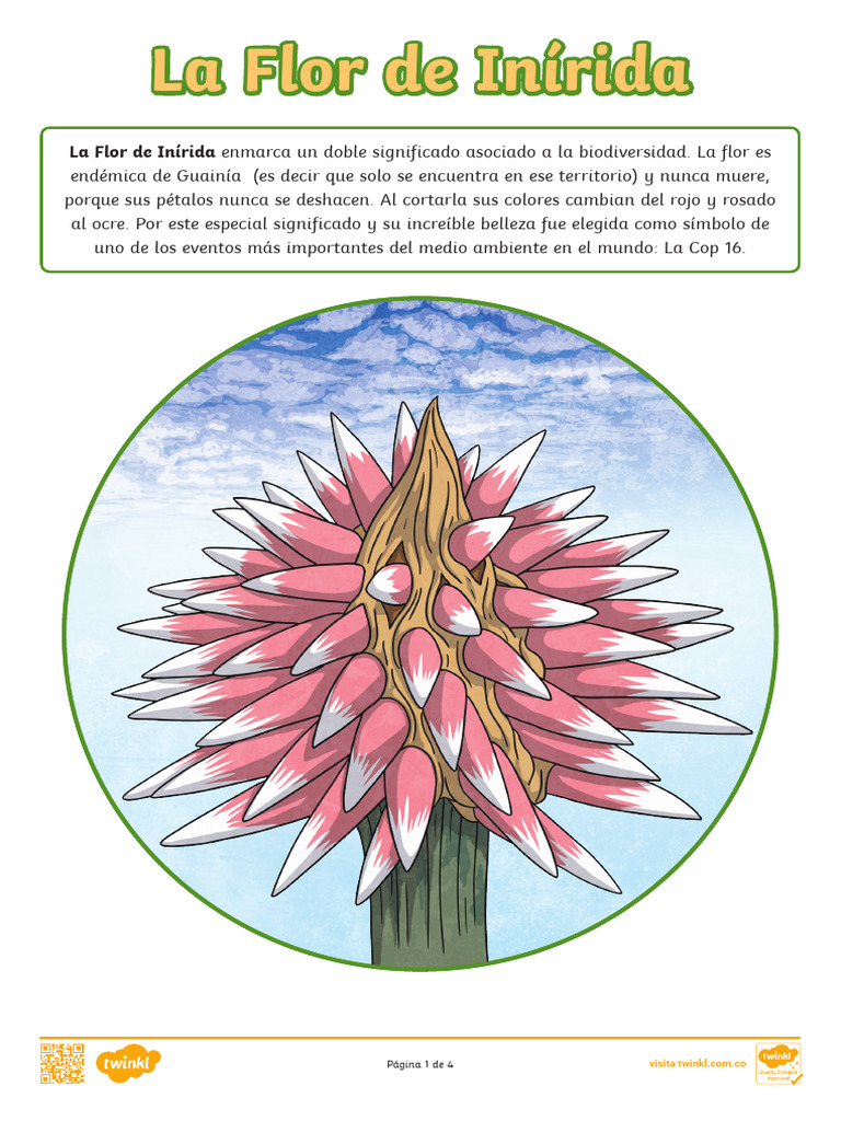 sa-cn-1719775276-hoja-para-colorear-la-flor-de-inirida-y-el-logo-de-la ...