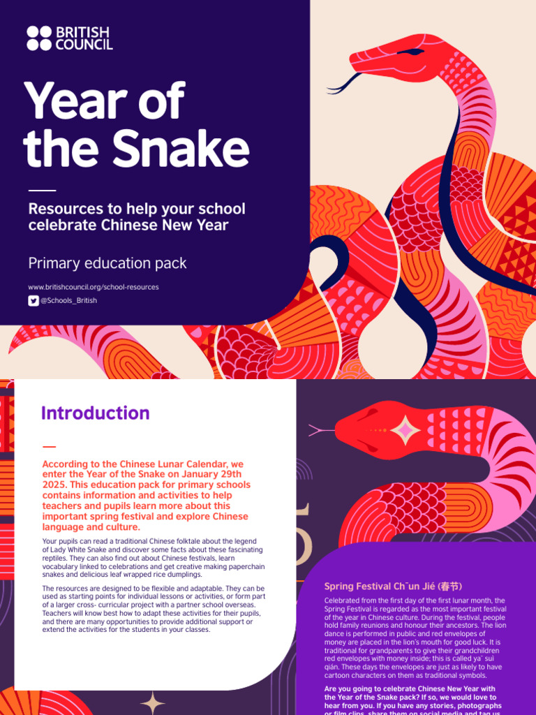Year of The Snake Education Pack 0 | PDF