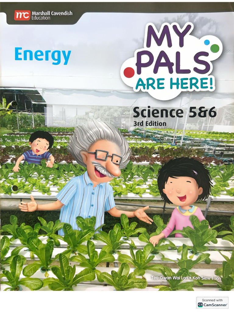 My Pals Are Here! P6 Energy - 1 Energy in Food | PDF