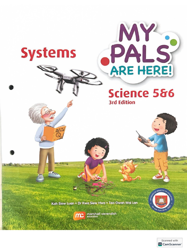 My Pals Are Here! P5 Systems - 1 The Plant Transport System | PDF