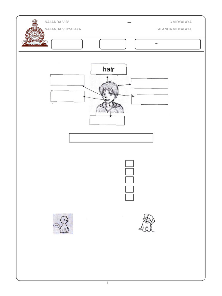 Grade 4 English Unit Test Project | PDF