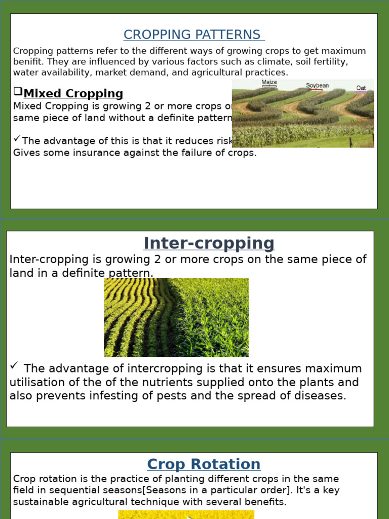 Understanding Cropping Patterns and Techniques | PDF