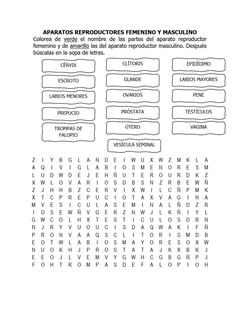 Aparatos Reproductores Femenino y Masculino | PDF