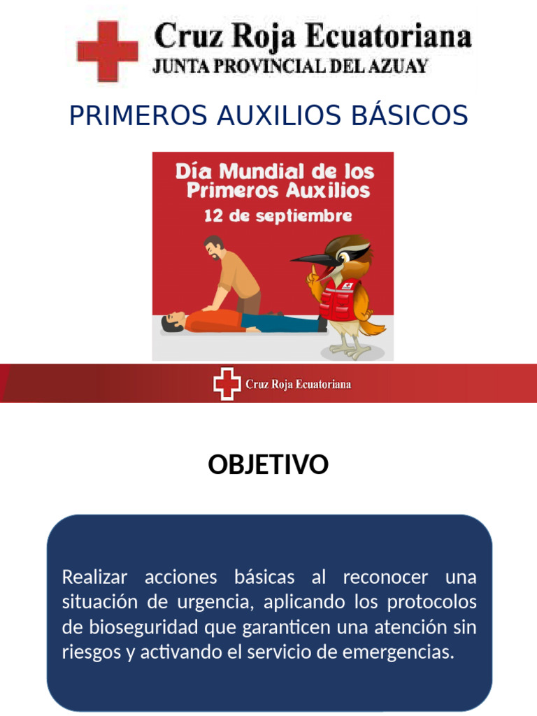 Guía Básica de Primeros Auxilios | PDF