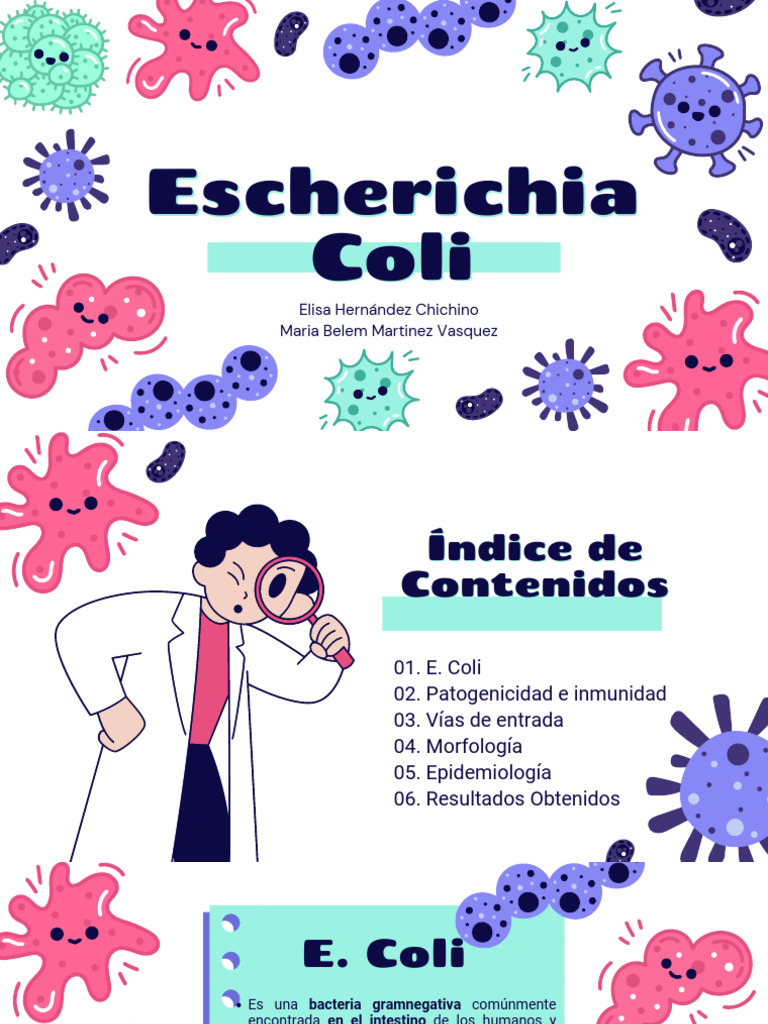 E. Coli | PDF | Escherichia coli | Diarrea