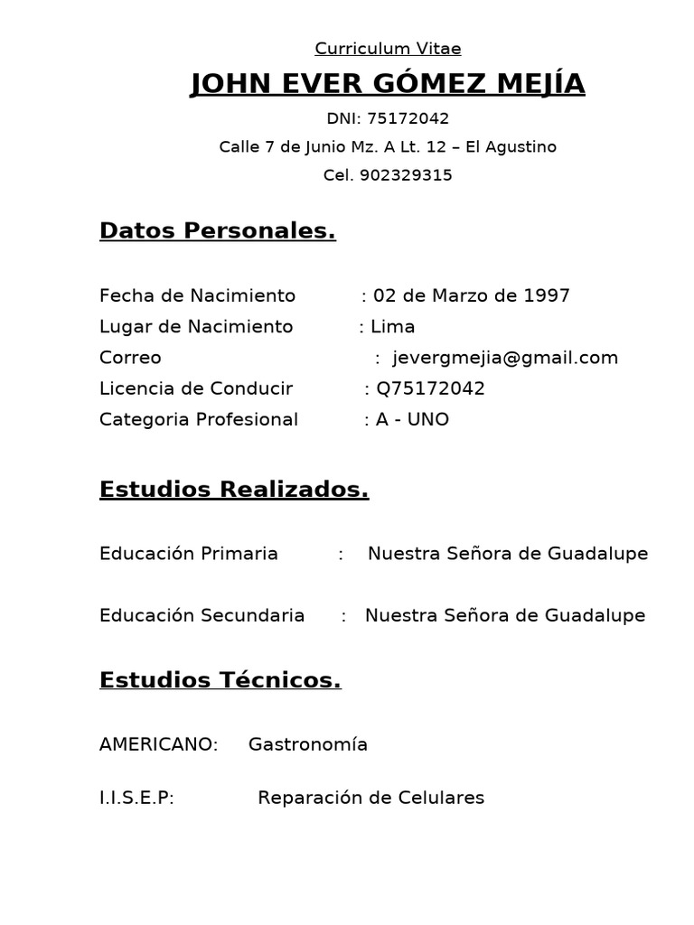 CV John Gomez | PDF