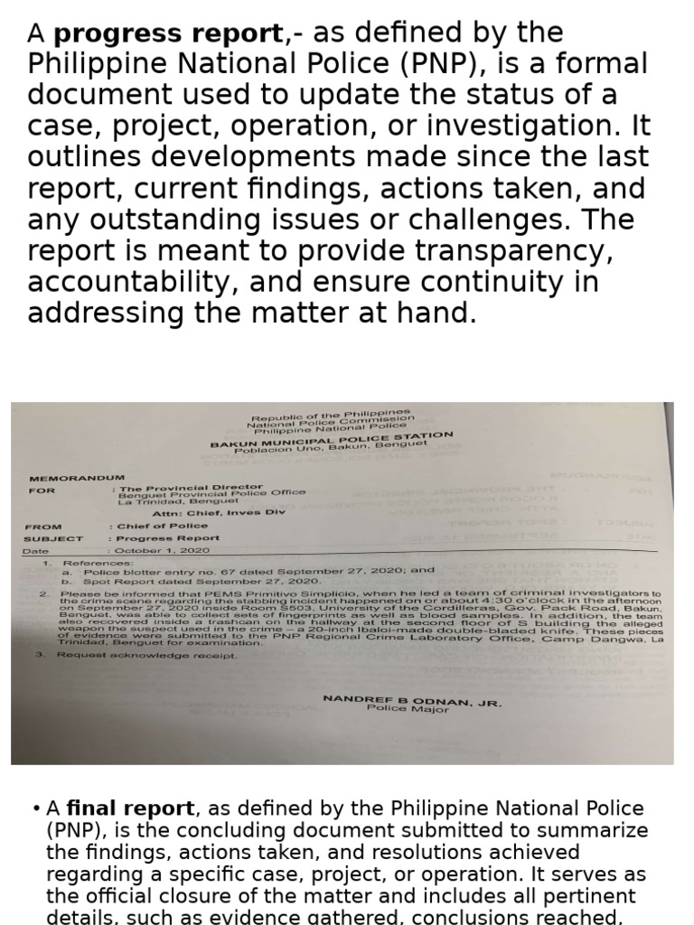 PNP Case Progress and Final Reports Guide | PDF